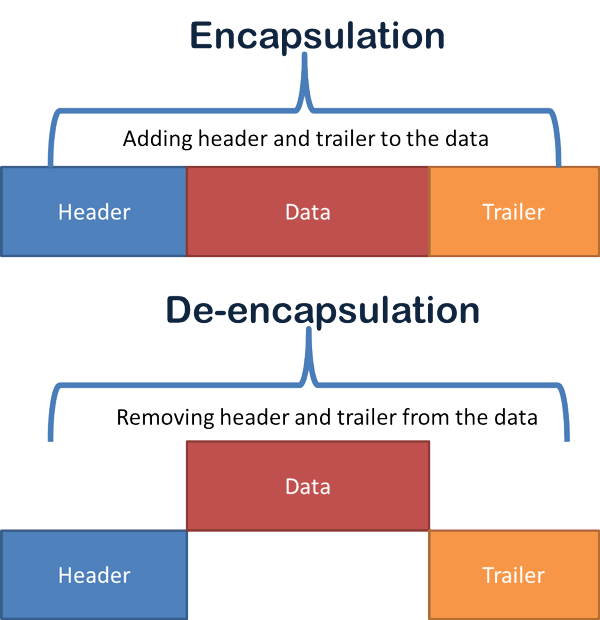 Network - London Koders